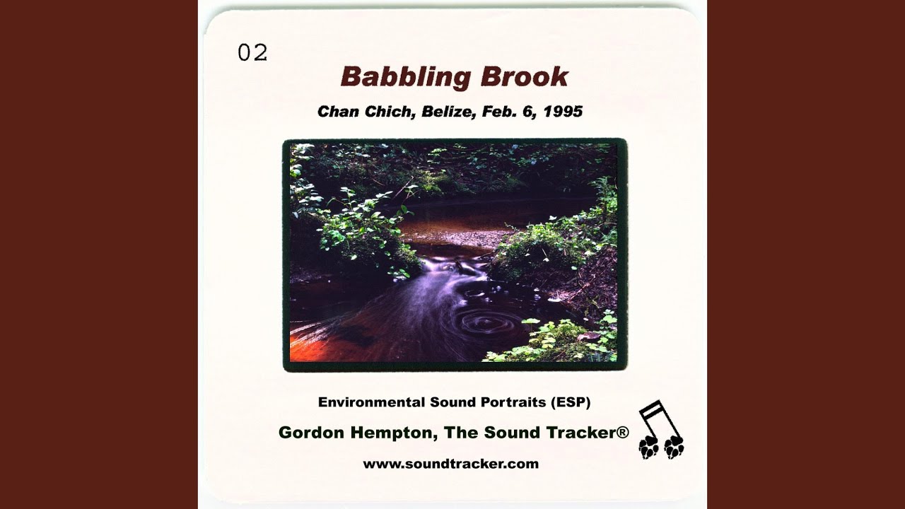 Babbling Brook - YouTube