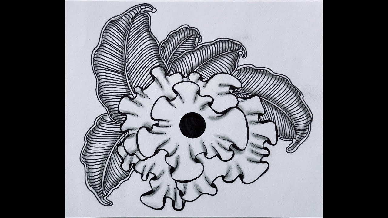 Step by Step Zentangle Drawing Tutorial Zen Moment - YouTube