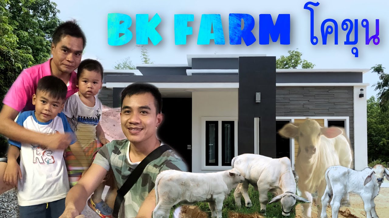 พาไปชม BK FARM โคขุน | BK Channel - YouTube