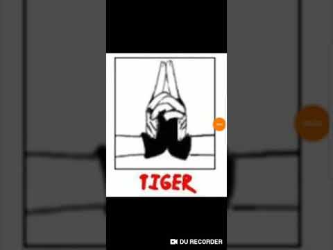 Earth Style: Earth Wall Jutsu - YouTube