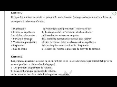 Exercices - Troisième - SVT : La respiration chez l'espèce humaine / Suite 1 / M. Diallo