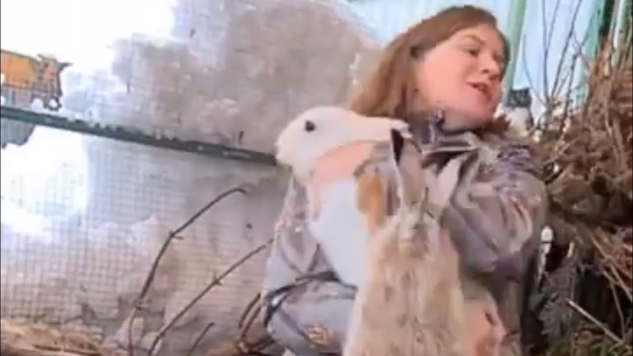 Rabbit Attacks Woman !!😳🐇 - YouTube