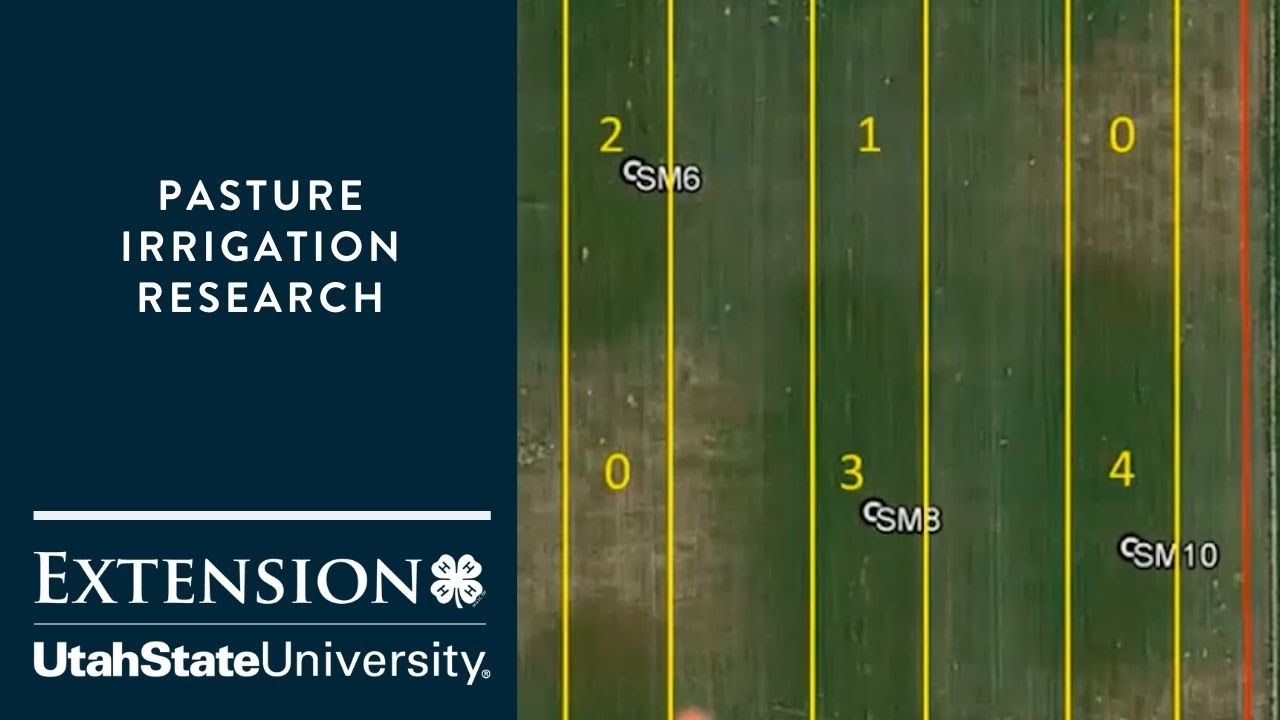 Pasture Irrigation Research - YouTube