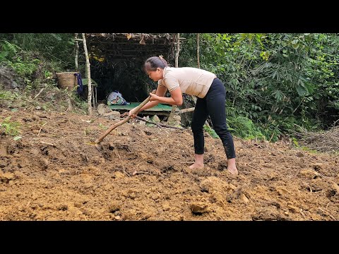 single mother: Clean up the site and level it to build a bamboo house | Đặng Thị Thủy