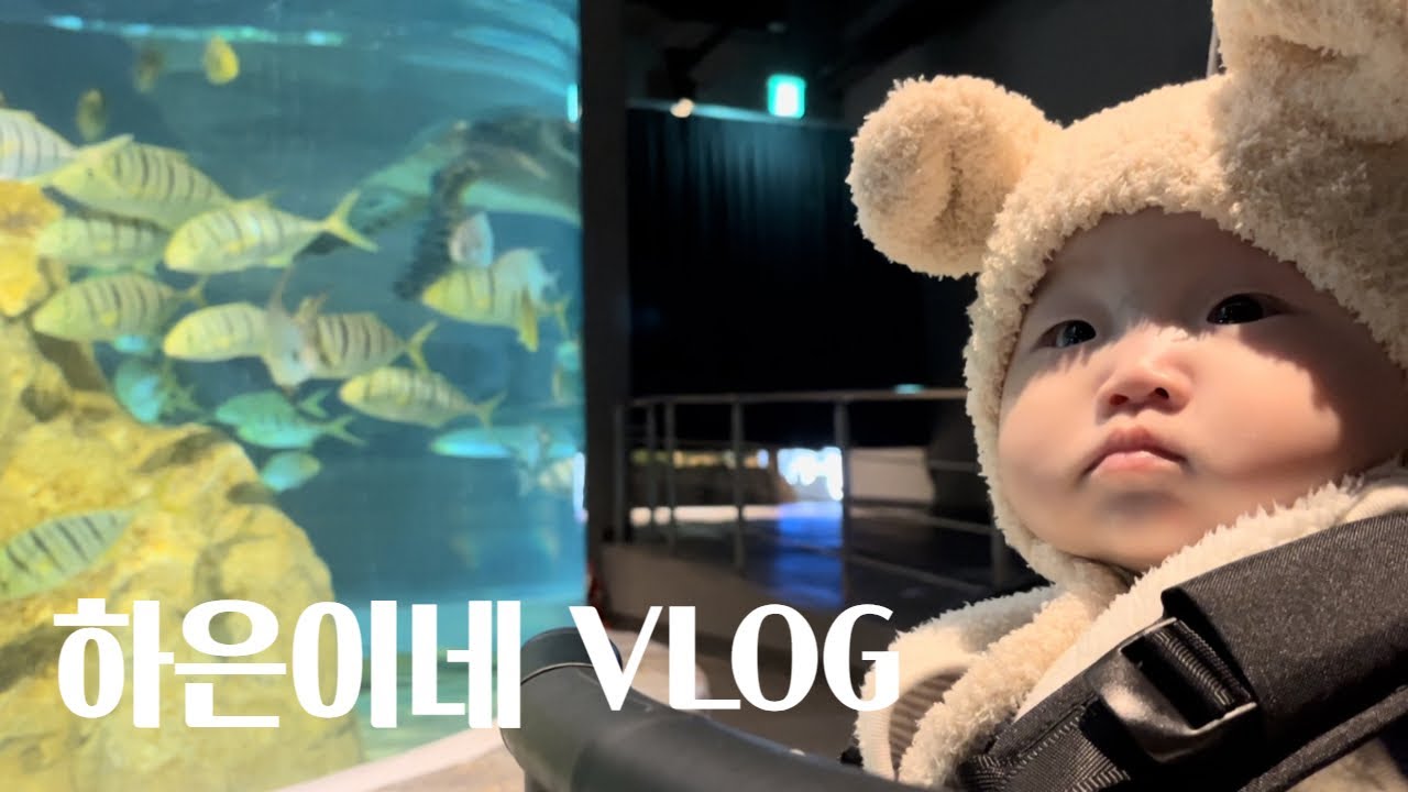 하은이네vlog 육아브이로그 육아 6개월 시판이유식 되집기 자유부인 유모차거부 대전엑스포아쿠아리움 생후27