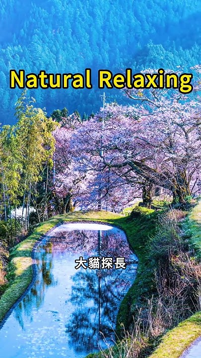 行在路上,觅一方净土,守一颗素心,得两分清闲,陶冶我心 旅行 风景 放松 Youtube