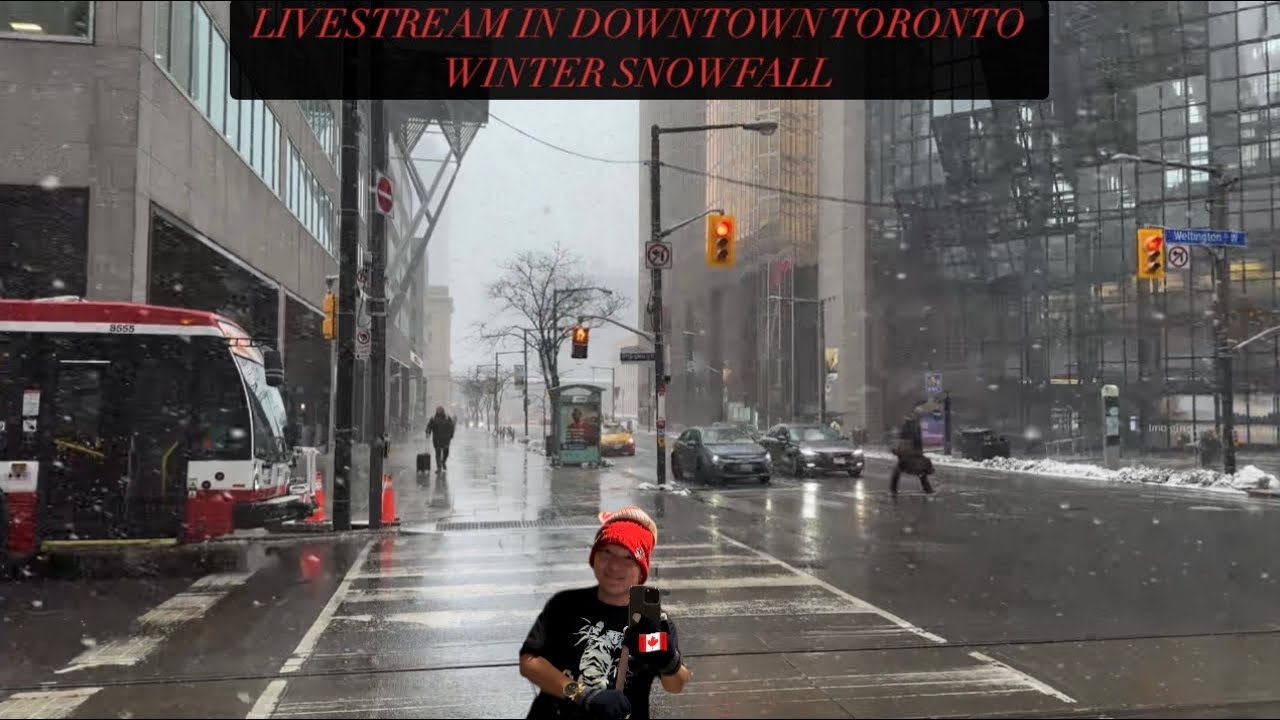 LIVE WINTER SNOWFALL EXPLORING DOWNTOWN TORONTO. #snowfall # ...