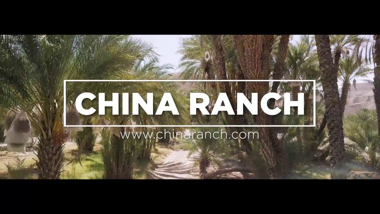 Flying High: China Ranch Date Farm - YouTube