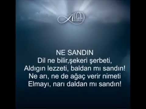 Dil ne bilir şekeri şerbeti aldığın lezzeti baldan mi sandın