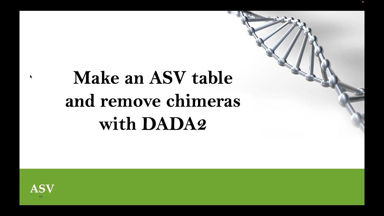 6 Make an ASV table and remove chimeras with DADA2 - YouTube