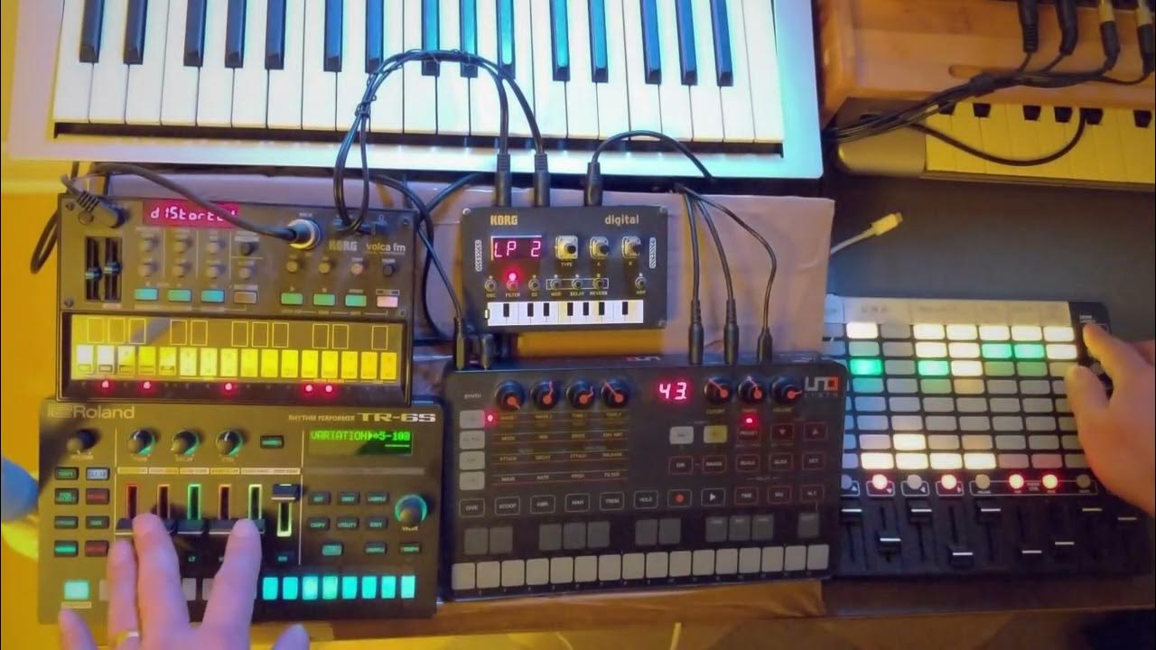 Live Jam #06 Melodic Techno Roland TR6s, Korg Minilogue, Volca FM, IK Multimedia Uno Synth, NTS ...