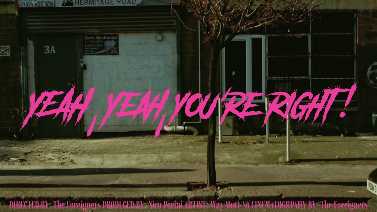 Way More So - Yeah, Yeah, You're Right! (Official Music Video) - YouTube