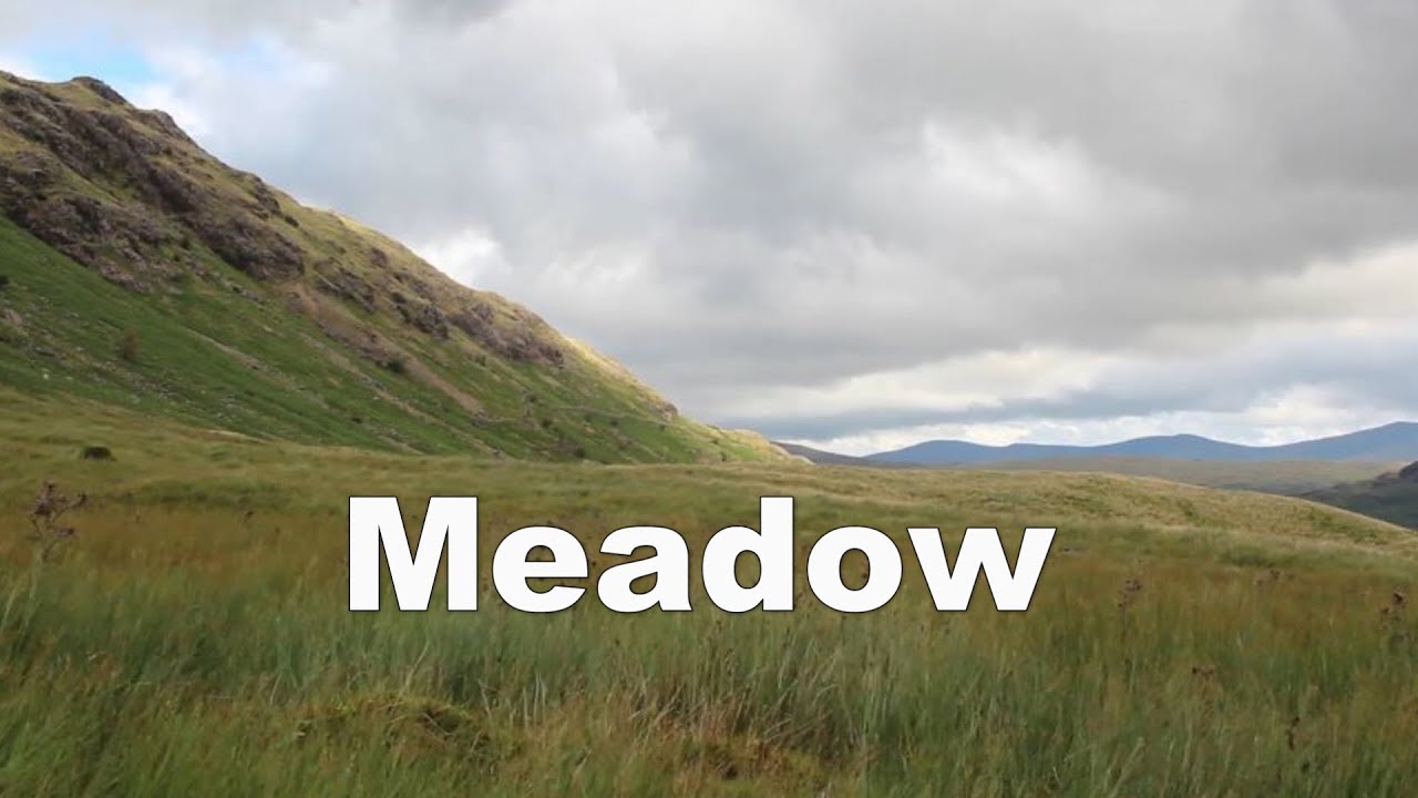 Meadow - YouTube