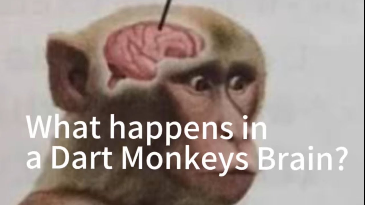 What happens in a Dart Monkeys Brain? #btd6 - YouTube