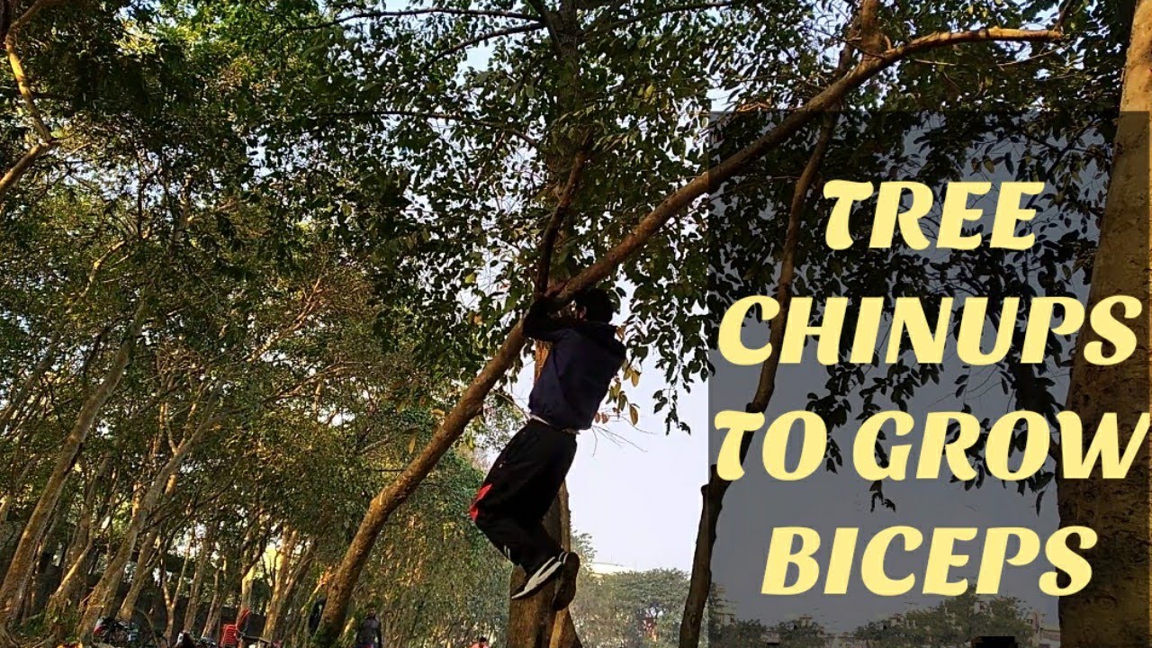 Tree CHINUPS to Grow Biceps - YouTube