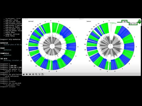 CNVpytor: 3-minute demo - YouTube