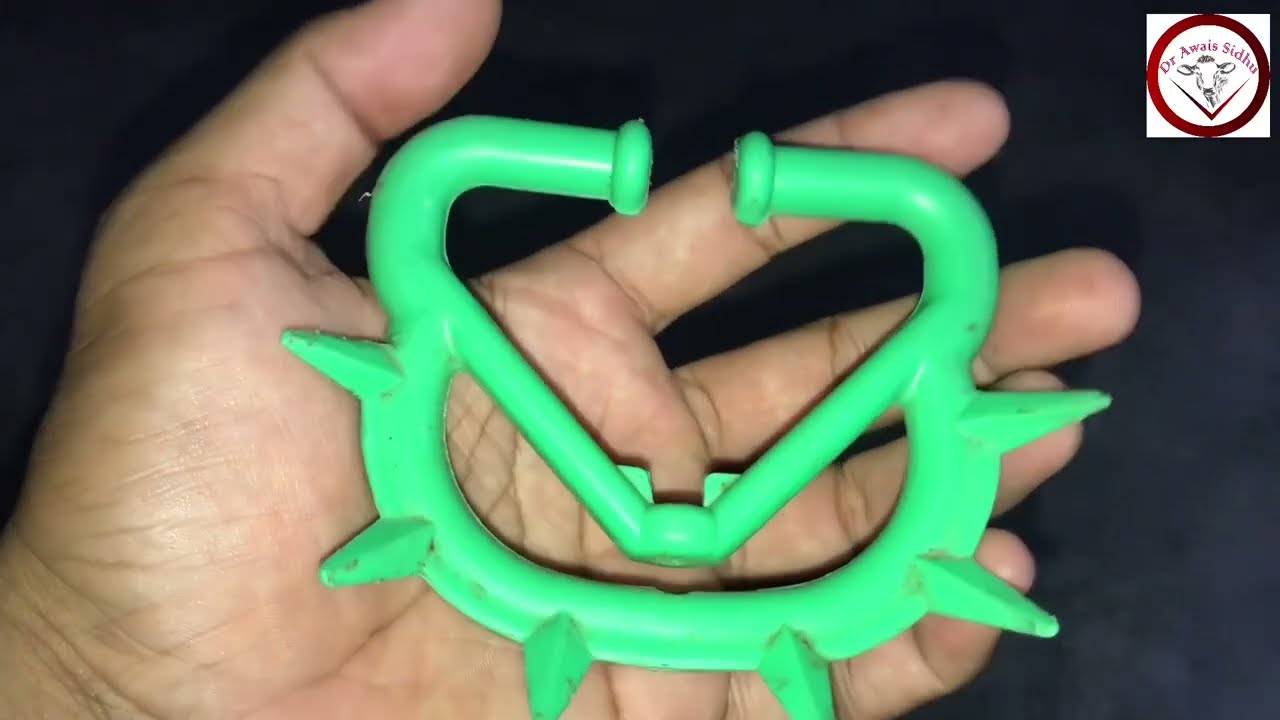 Milk suckling preventer || How to stop calf / cows to suckle other cows ...