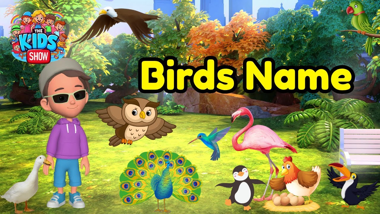 Learn Birds Names with Jolly | Early childhood education | # ...