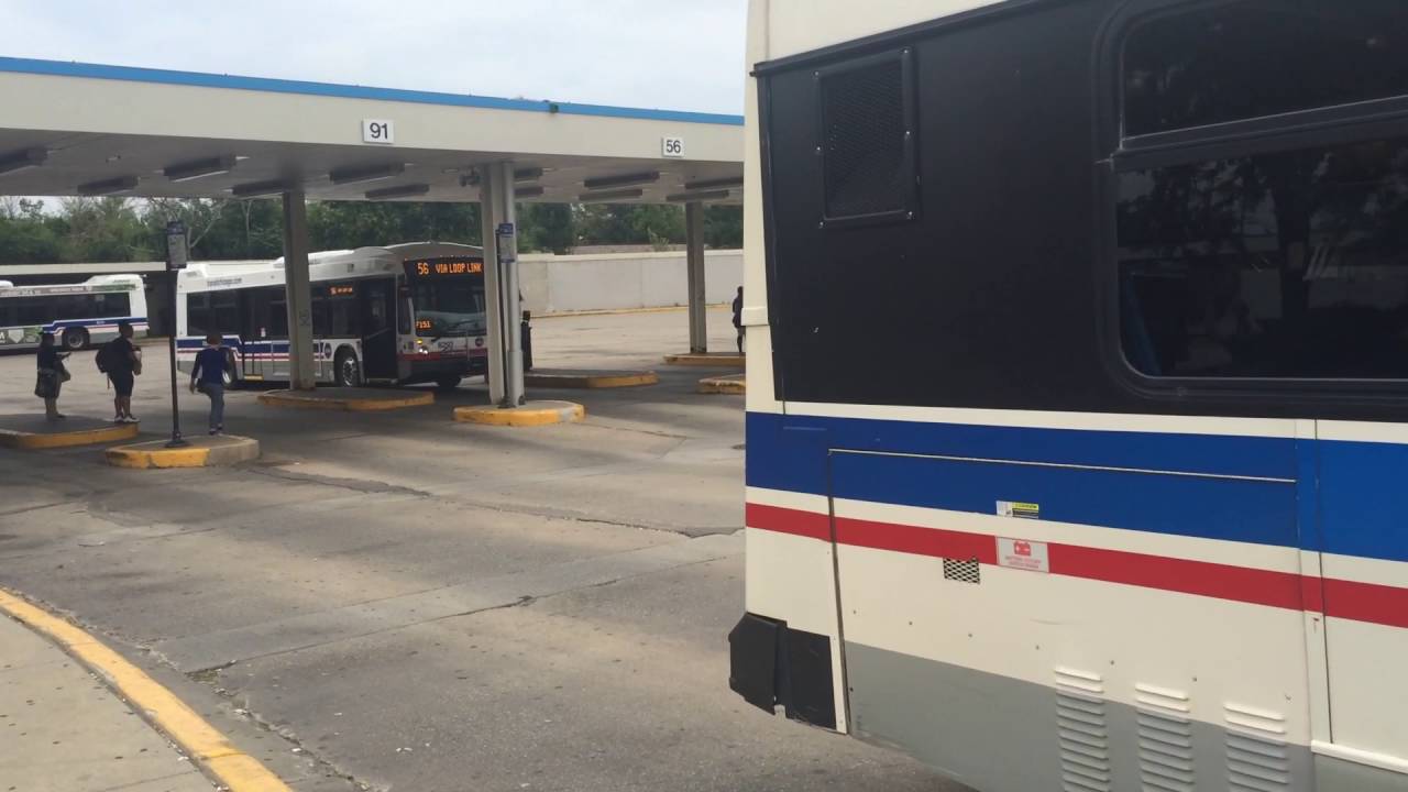 CTA New Flyer D40LF 81 Lawrence - YouTube