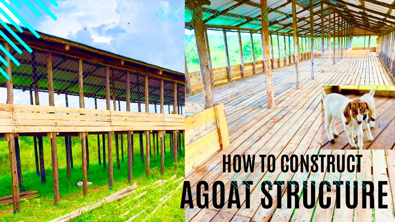 How I built my 500 Goats House | 2023 - YouTube