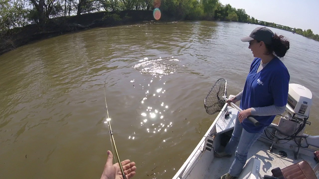 ~ANTHONY HOOKS 17 LBS STRIPER W/TANYA NETTING~ - YouTube