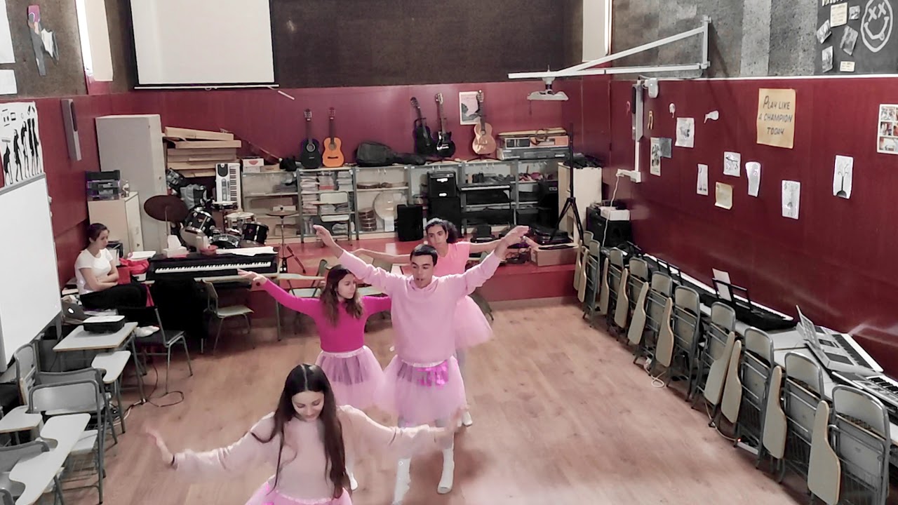 AED 19/20 - danza animal - flamencos - YouTube