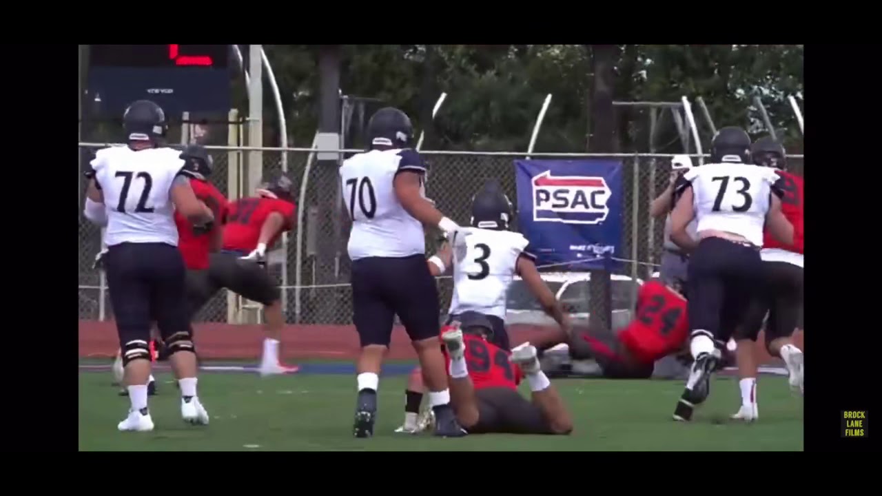 Terrell Ford || Clarion University || Sophomore Year || - YouTube