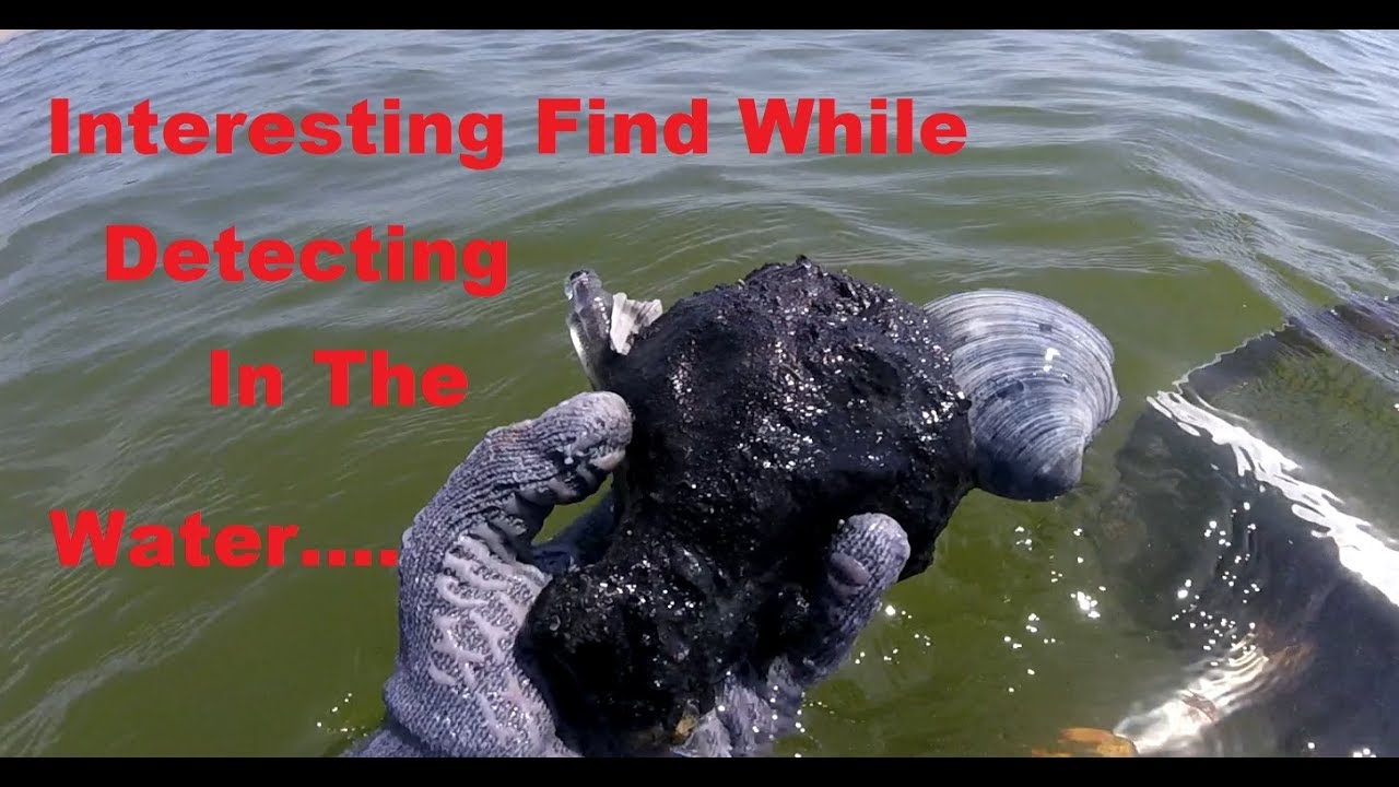 Strange Things In The Water - YouTube