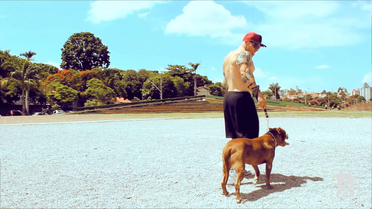 BEAST MODE | BODYBUILDER LIFE STYLE | ALEX MOLINARI - YouTube