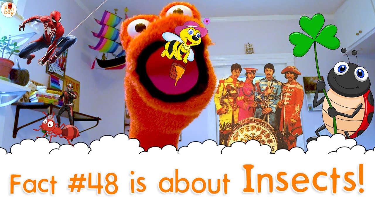 How Many Types of Bugs are There on Earth? - The Fact a Day - #48 - YouTube