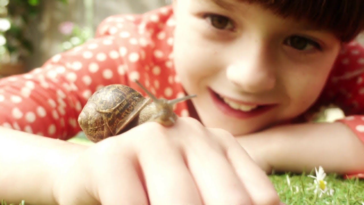 Topsy & Tim 301 - CAMPING WEEKEND | Full Episodes | Shows for Kids | HD ...