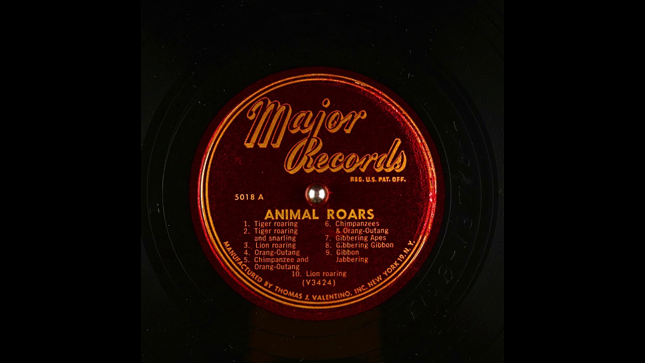 Archival Animal Roars Sound Effects From Major Records (6K Subscribers ...