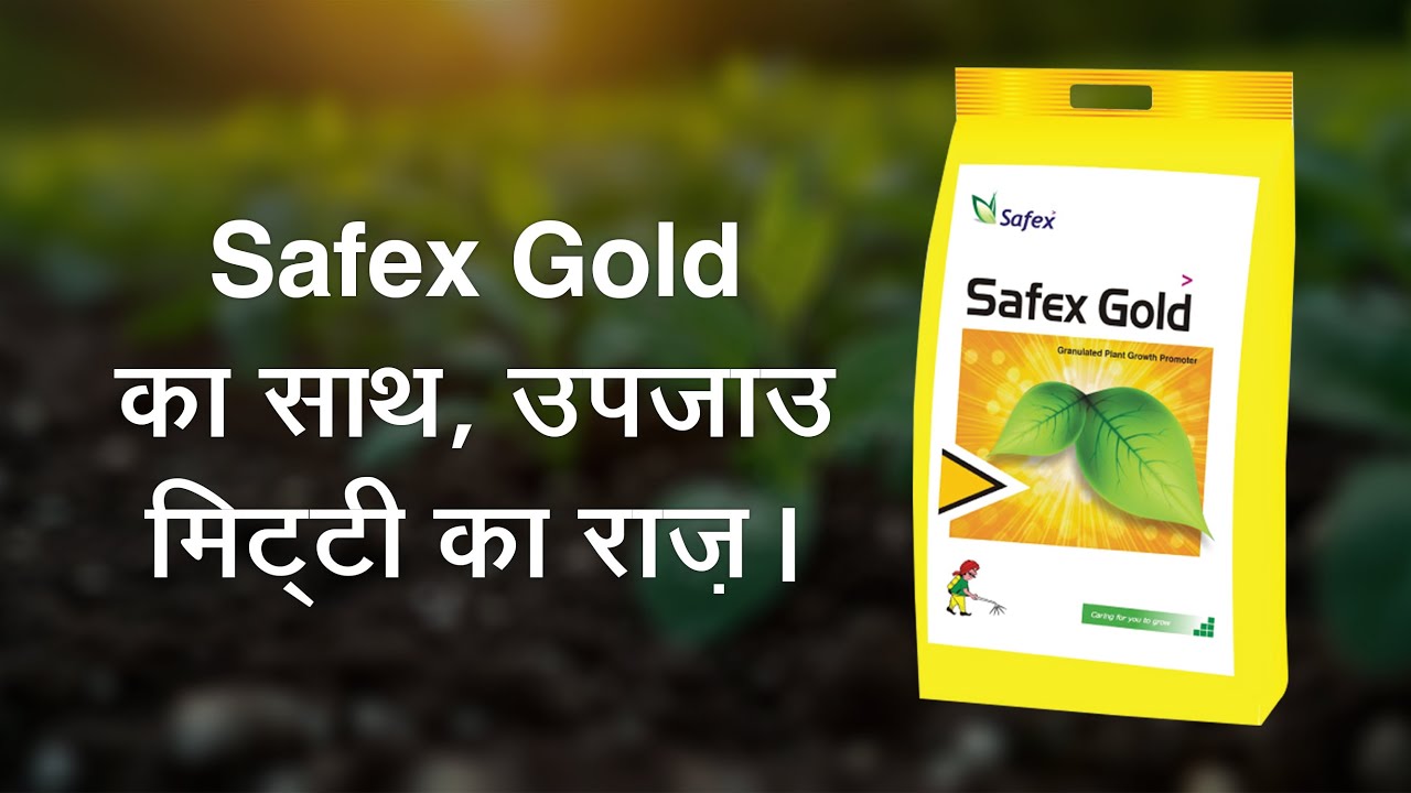 Safex Gold/ Organic Granules: Amino acid+Humic acid+Seaweed/ Powerful ...