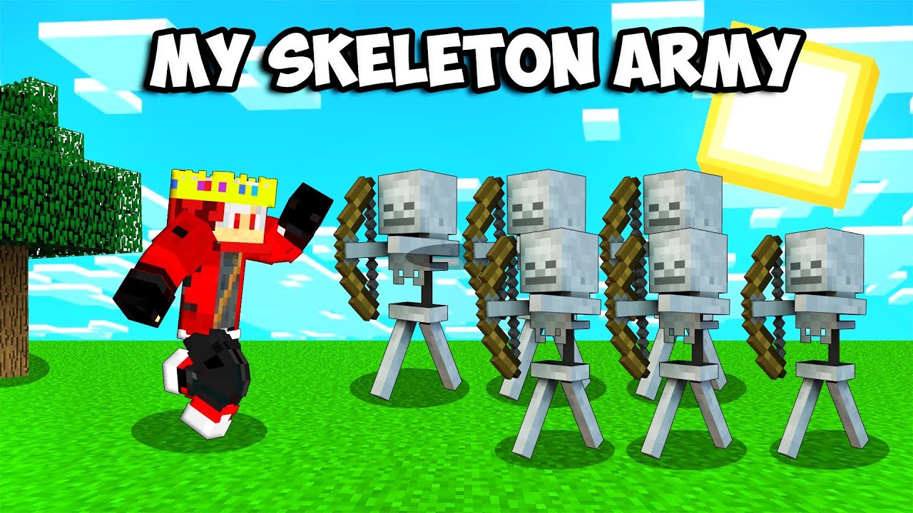 I Tamed a Skeleton Army in Minecraft in Hindi! - YouTube