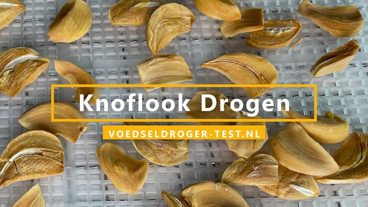 Knoflook drogen in voedseldroger - YouTube