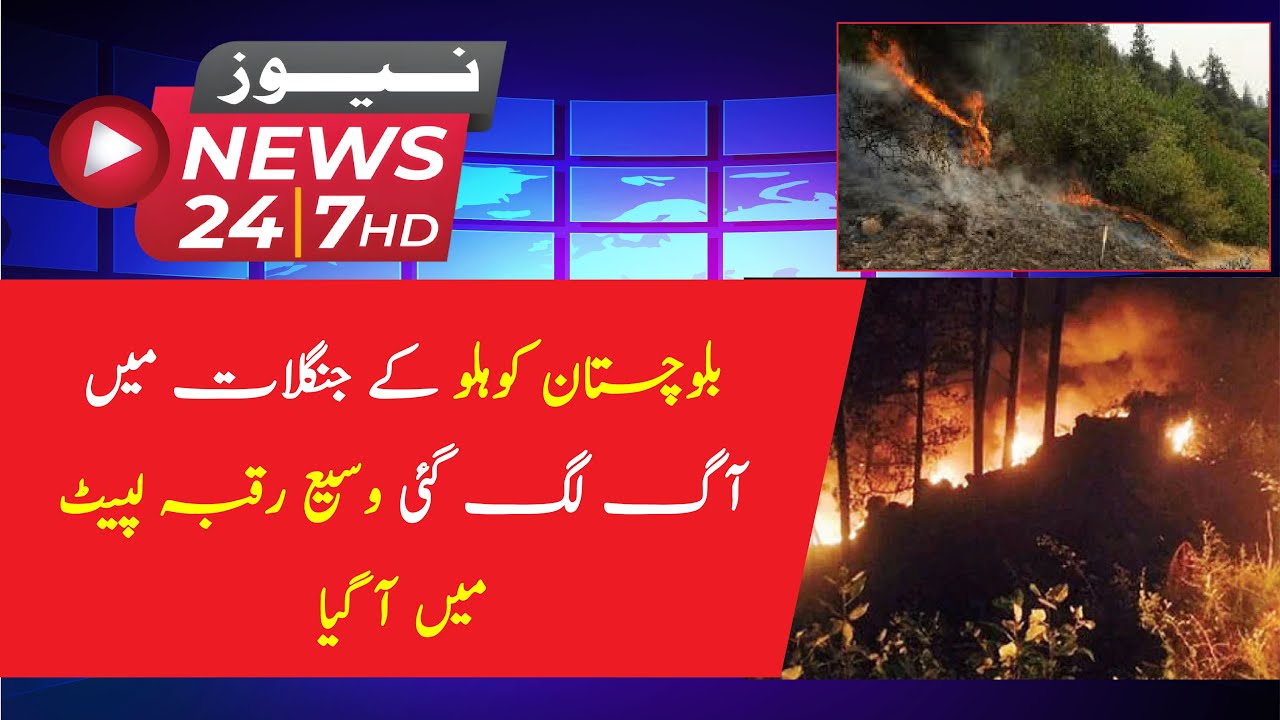 Balochistan: Fire breaks out in Kohlu forests, engulfs a vast area ...