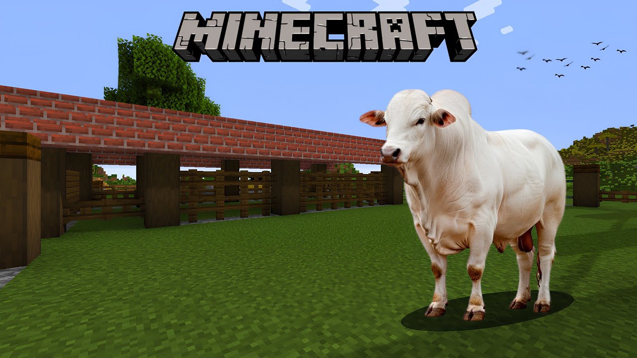 MINECRAFT - CONSTRUINDO UM CURRAL DE VACAS NO MINECRAFT - YouTube