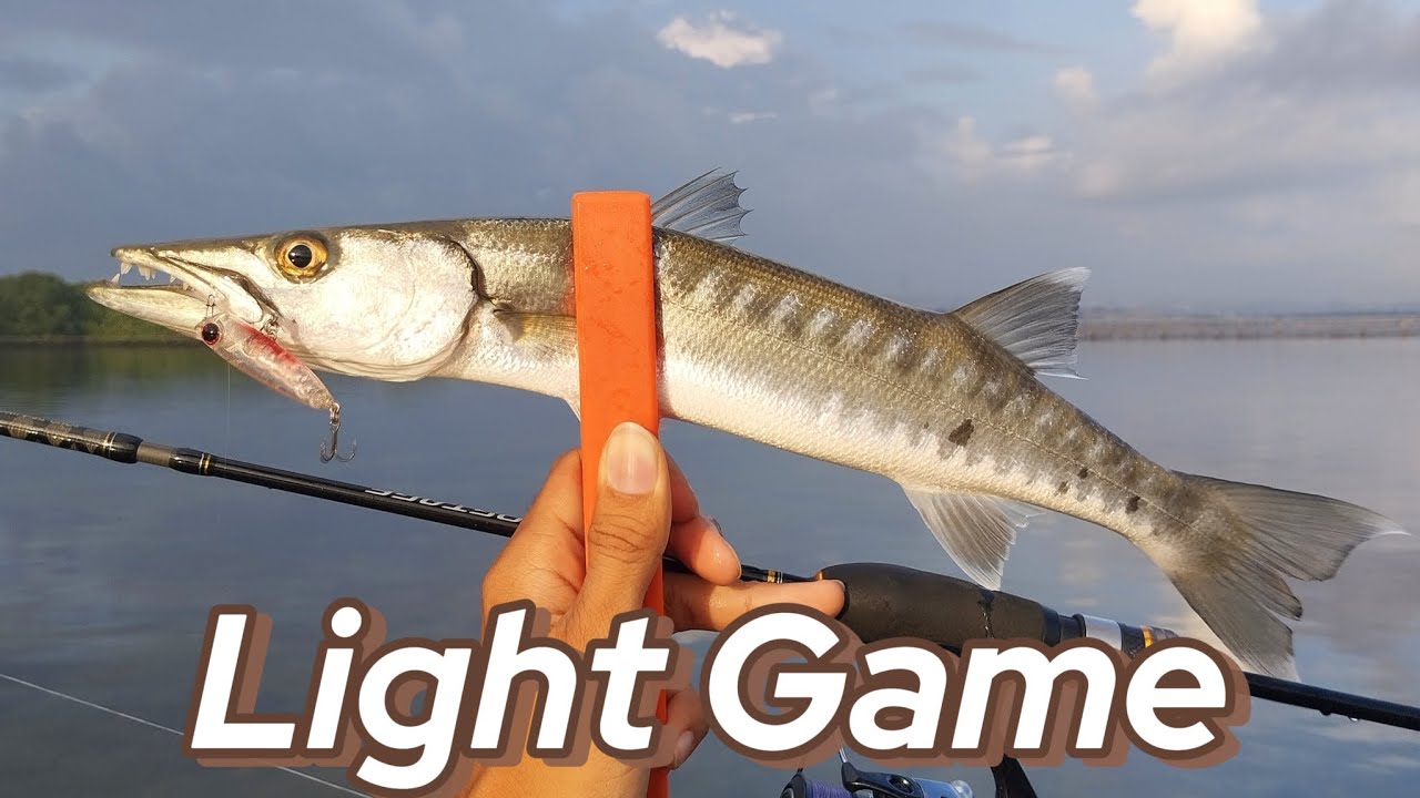 Super Fun Ultra Light Game Fishing - YouTube