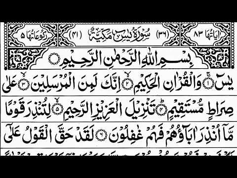 Surah Yaseen Daily Quran Tilawah || Epi-0175|| Soothing Quran Recitation || Yasein Sharif || Yaseen