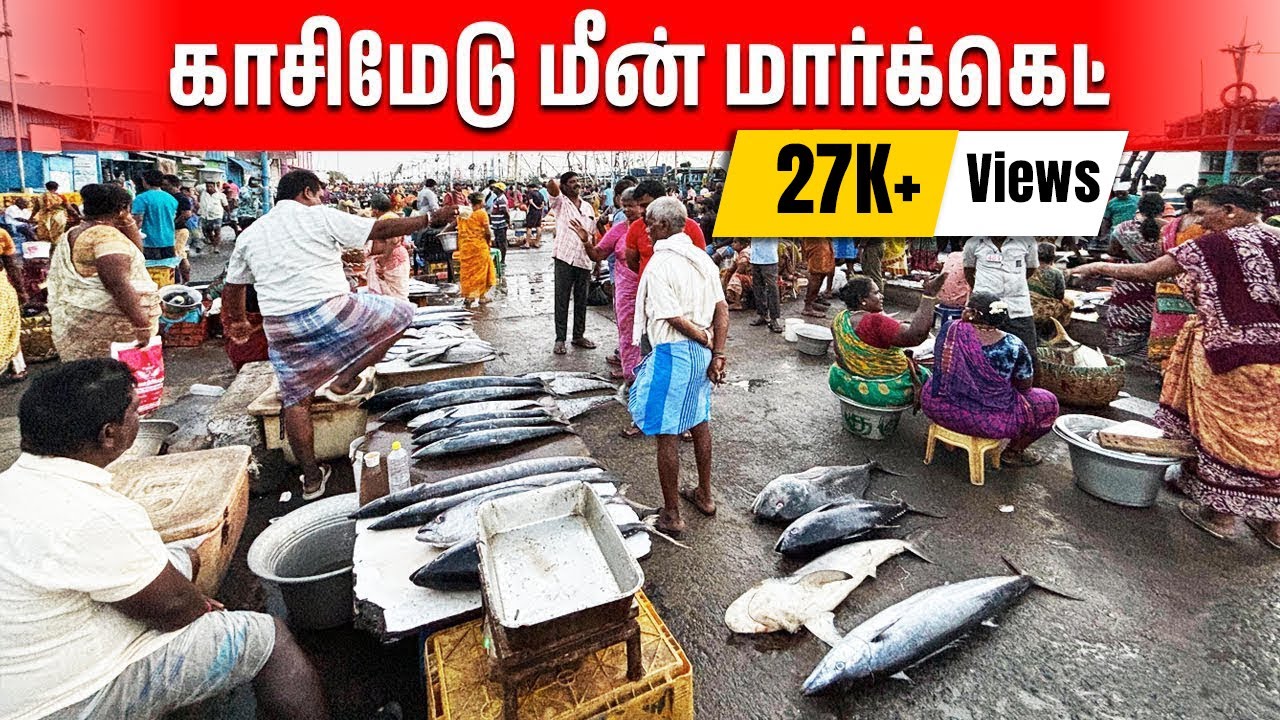 Famous Kasimedu Fish Market in Chennai | Kasimedu Speed Selvam is ...