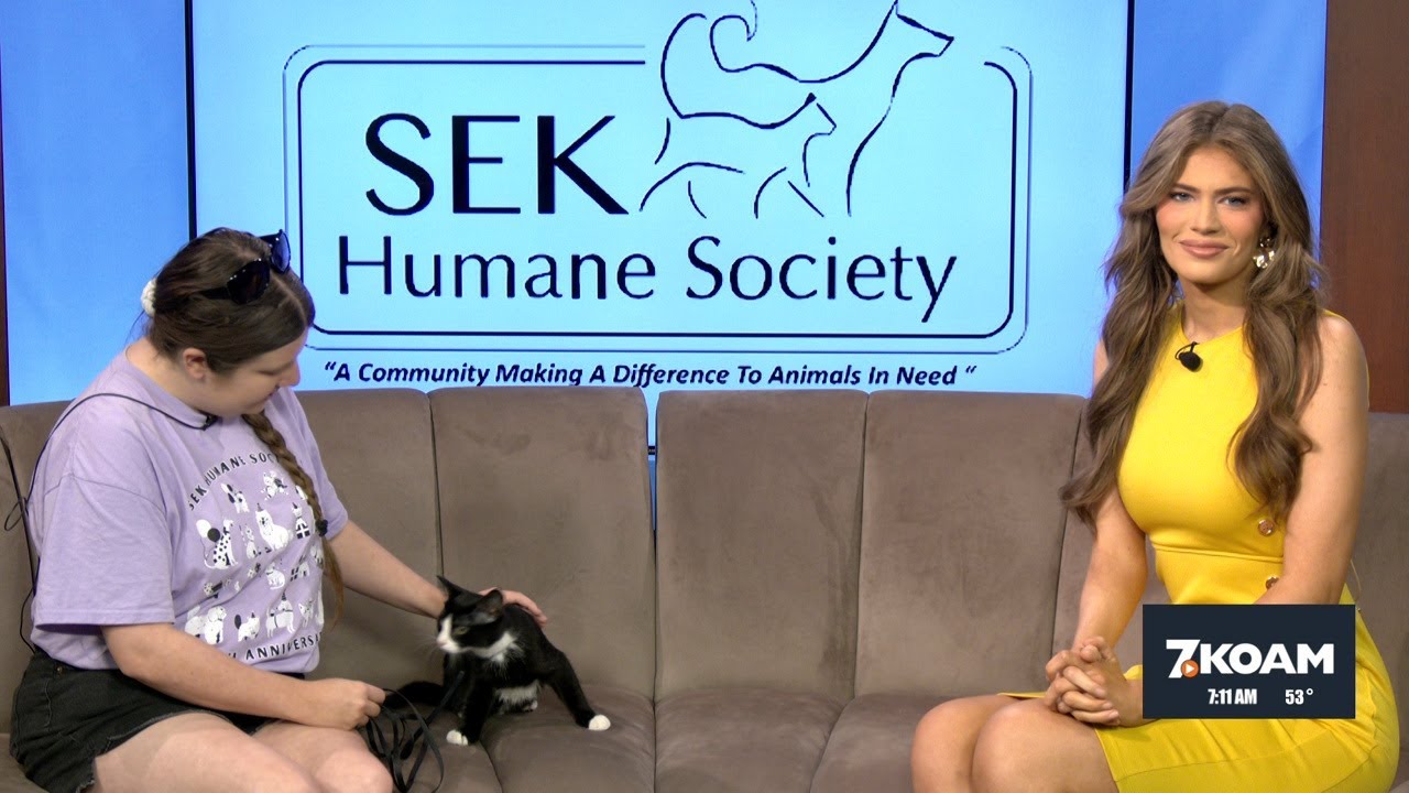 Jasmine Kyle stopped by the studio this morning with a friend - YouTube