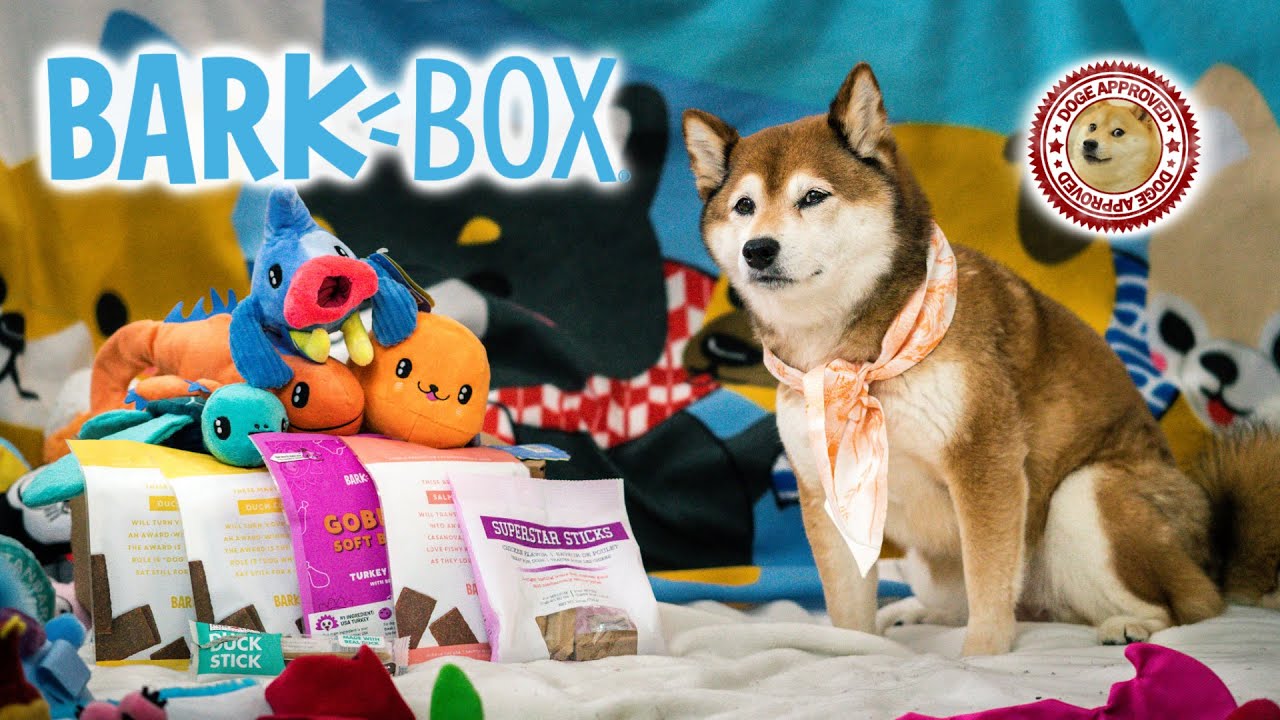 Unboxing the April 2021 BarkBox - Galapagos: Tails of the Tropics - YouTube