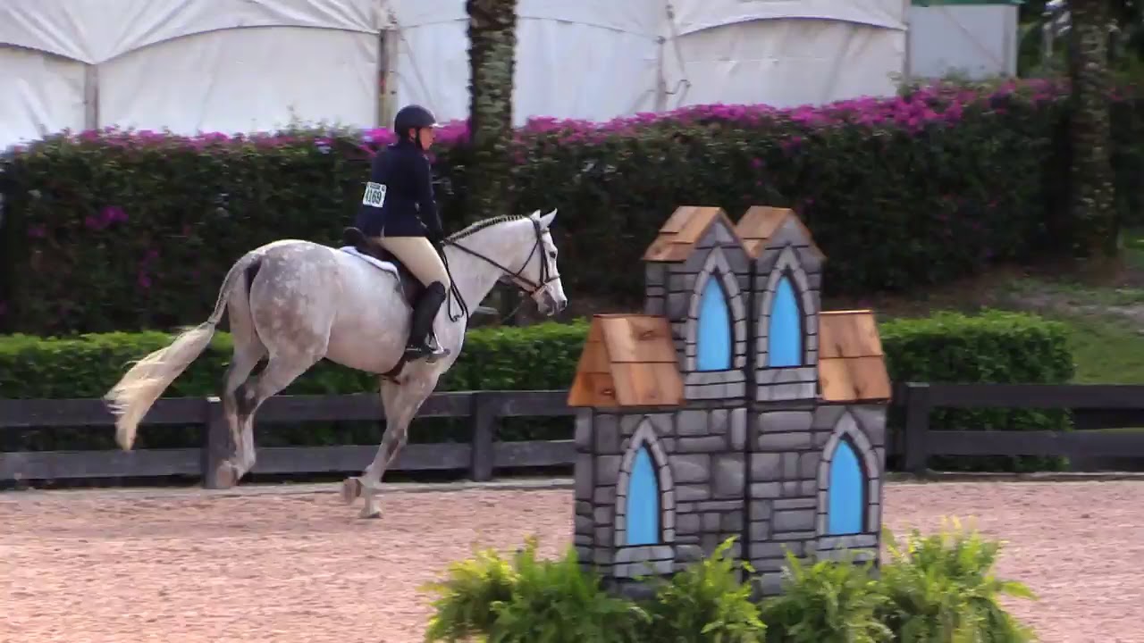 Cassano WEF Adult Hunters 2019 - YouTube