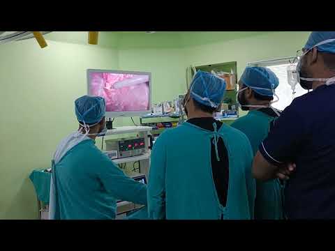 lab collie procedure - YouTube