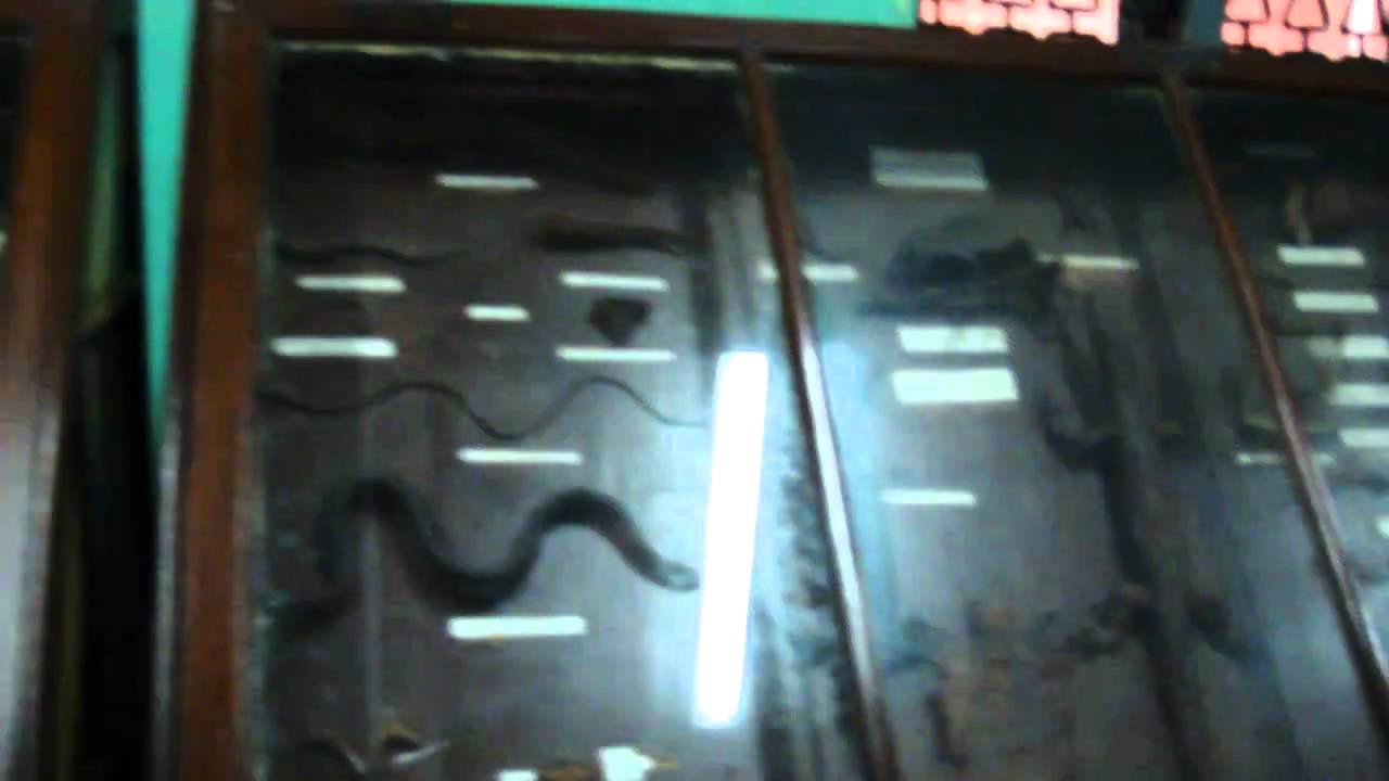 at the natural dust museum - YouTube