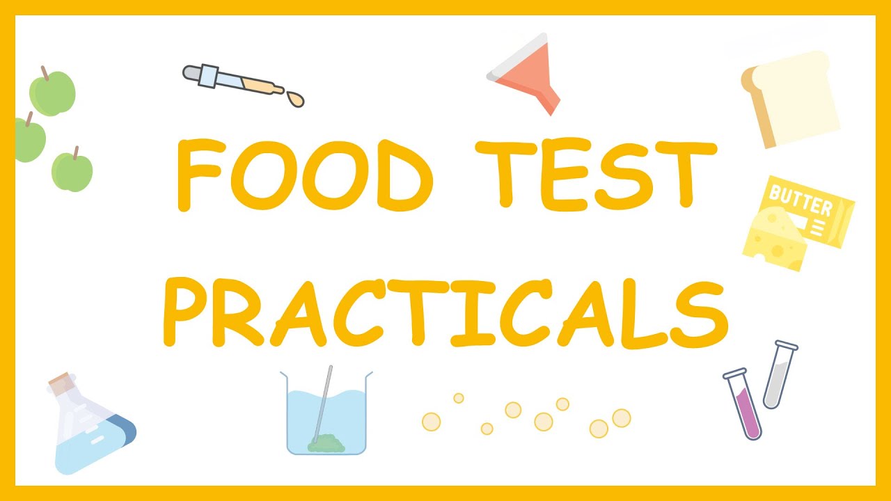 What Are Food Tests? | GCSE Biology Practicals Explained - YouTube