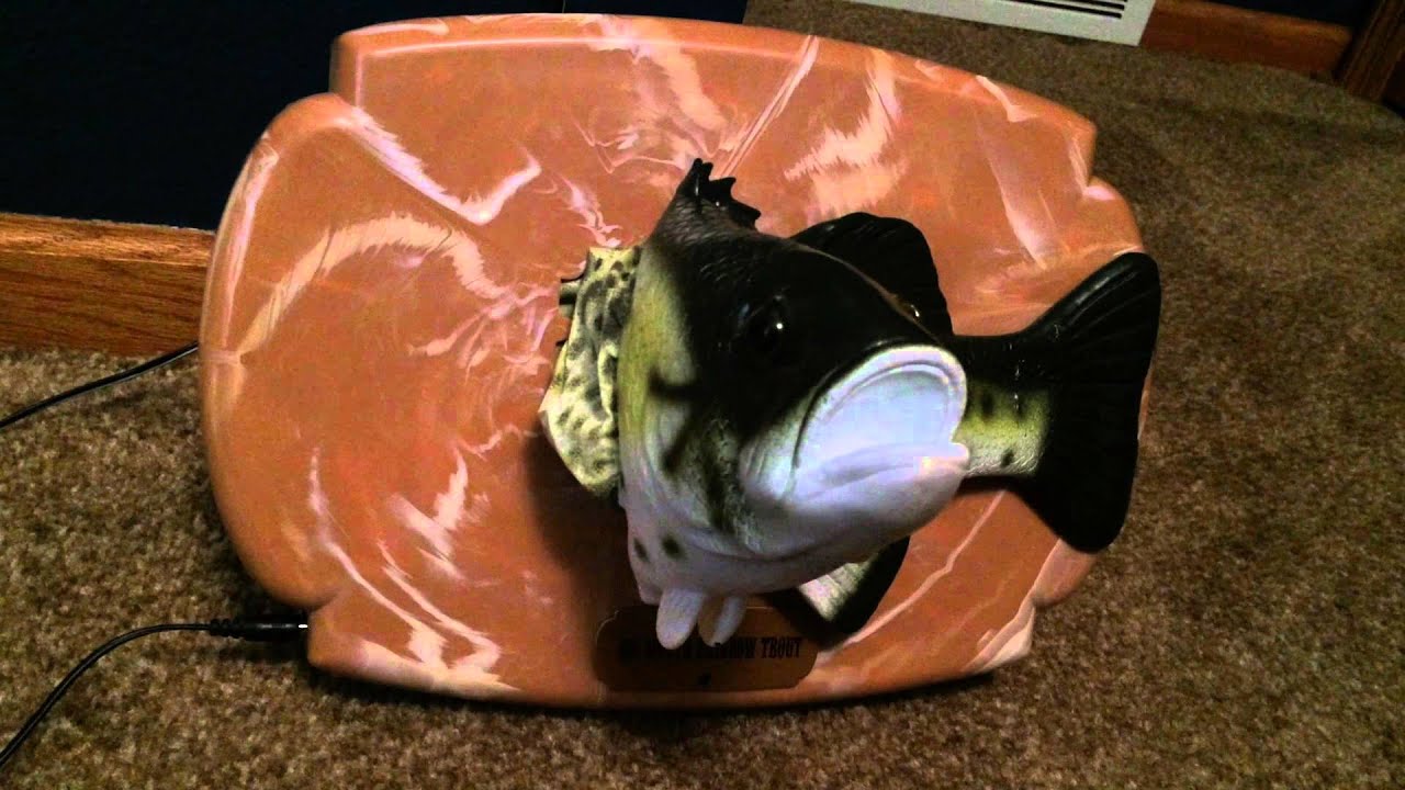 BIG MOUTH RAINBOW TROUT *** (Singing Fish) - YouTube
