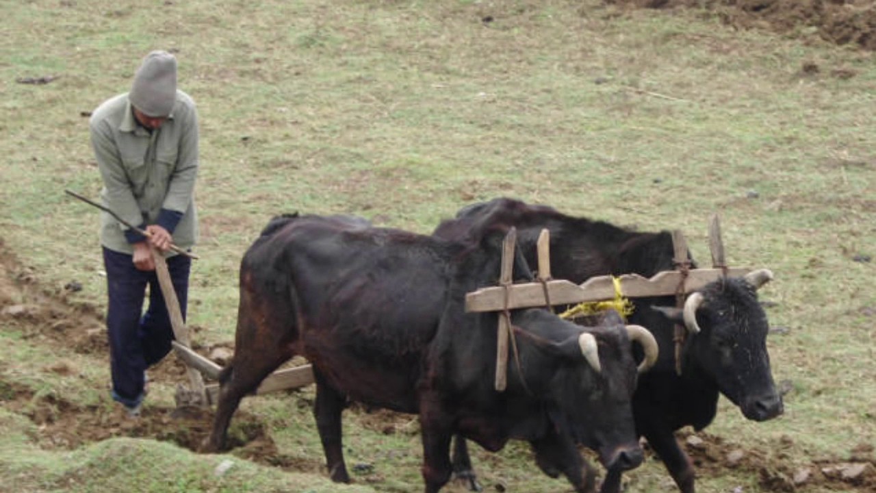 John Deere's Steel Plow - YouTube