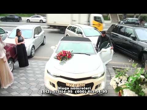 Millenium sadliq sarayi 2025