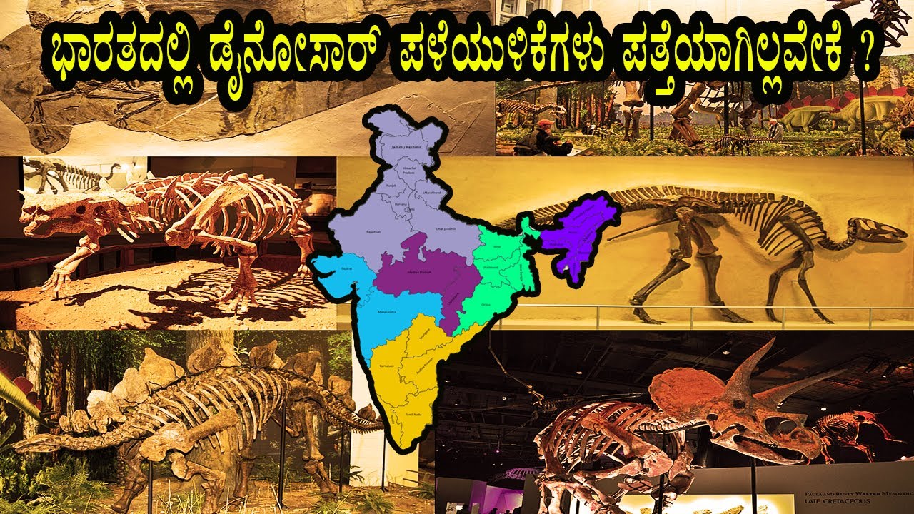 ಡೈನೋಸಾರ್ ಗಳು ಭಾರತದಲ್ಲಿ ಇದ್ದಿರಲಿಲ್ಲವೇ? History of Dinosaurs in india ...